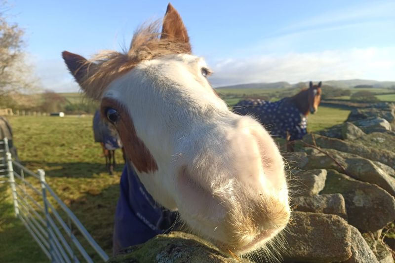 Visit Settle - Dales and Trails